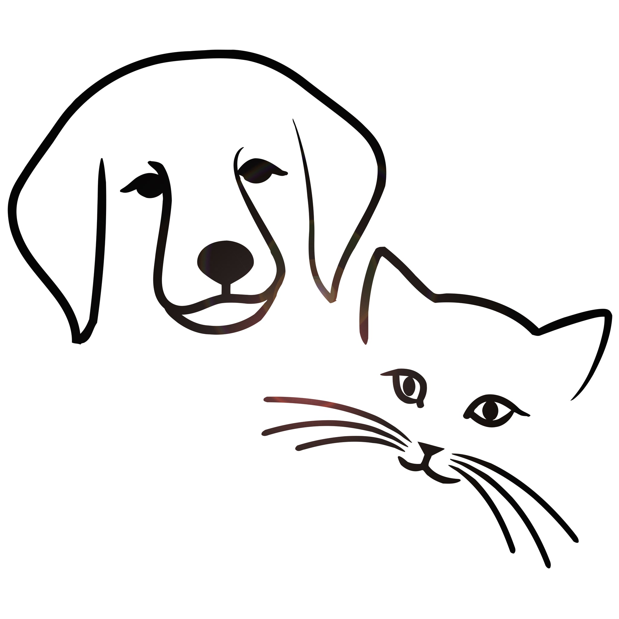 Custom Cat Wall Vinyl Decals Collection — Wallstickers4you