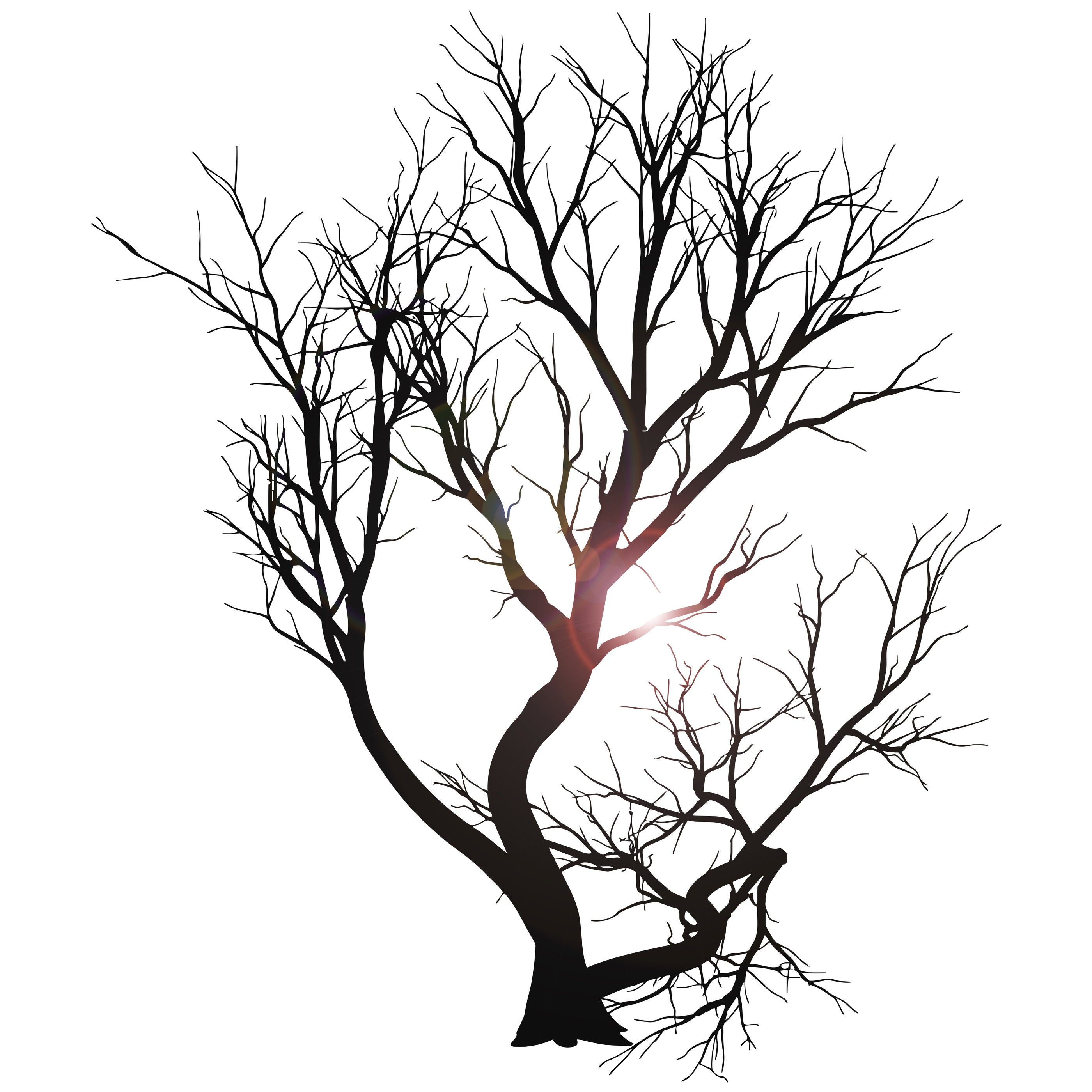 Vinyl Decal Tree Branches Forest Decor Living Room Wall Sticker Unique ...
