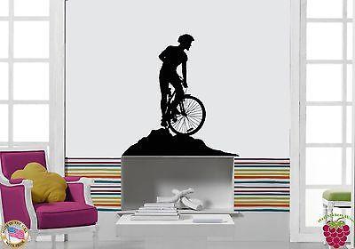 Vinyl Decal Wall Stickers Bike Biker Extreme Sport Decor For Living Ro ...