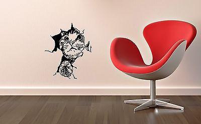 Wall Stickers Vinyl Decal Cat Cracks in Walls Modern Style Unique Gift ...