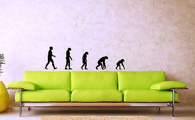 Wall Stickers Vinyl Decal Evolution Darwin Theory Joke Unique Gift ig1 ...