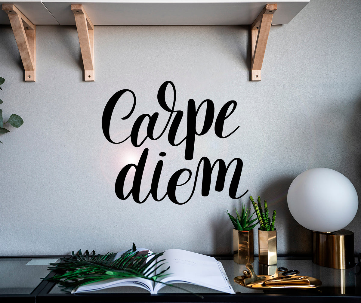 Vinyl Wall Decal Carpe Diem Inspiring Quote Phrase Stickers Mural 22.5 ...