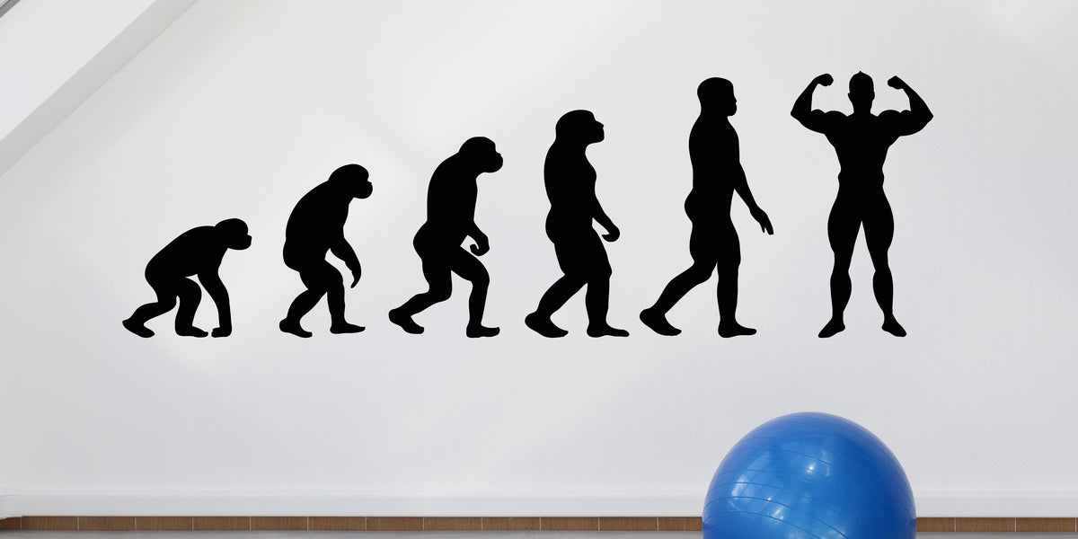 Vinyl Wall Decal Gym Evolution Art Man Bodybuilding Fitness Stickers M ...