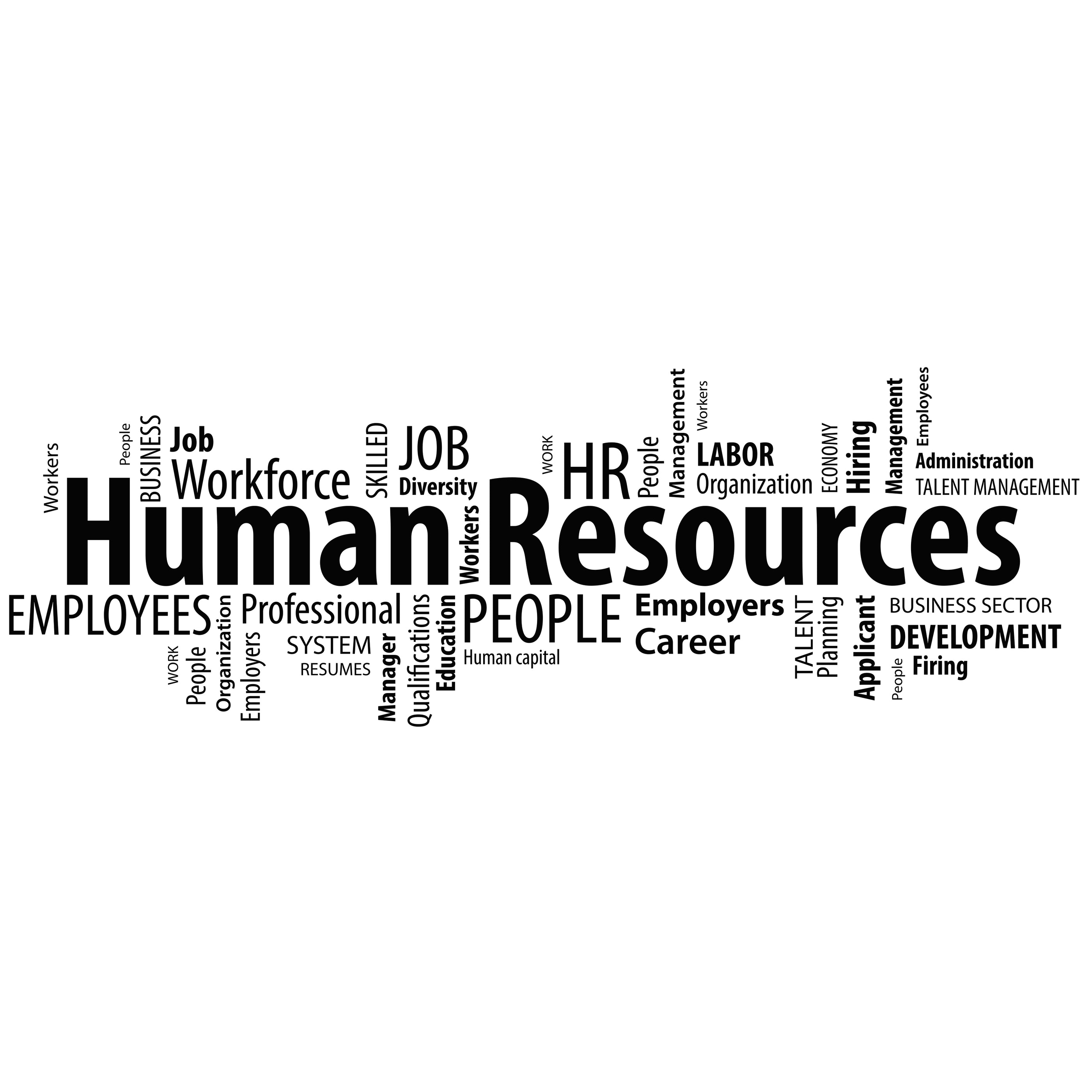 Vinyl Wall Decal Human Resources HR Words Cloud Management Office Stic ...