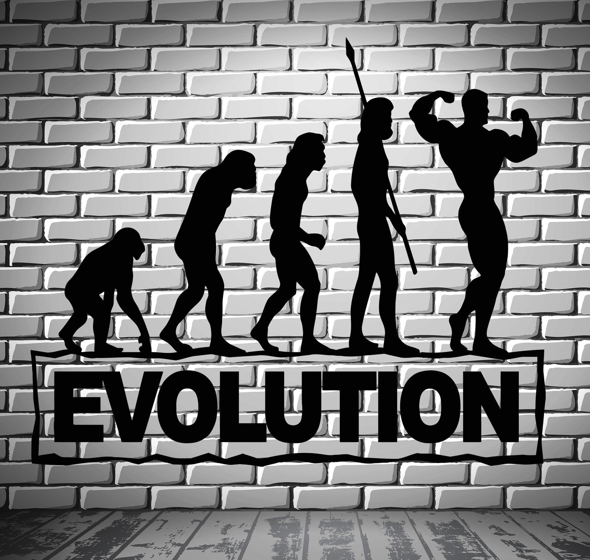 Gym Sports Wall Decal Bodybuilding Fitness Evolution Stickers Art Mura ...